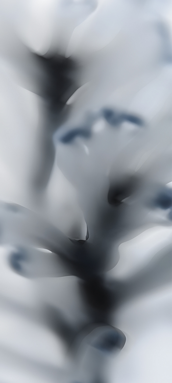 Download Nothing Phone 2a Official Wallpapers Here | Beebom