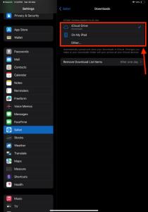 How to Find Downloads on iPad [2024 Guide] | Beebom