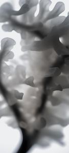 Download Nothing Phone 2a Official Wallpapers Here | Beebom