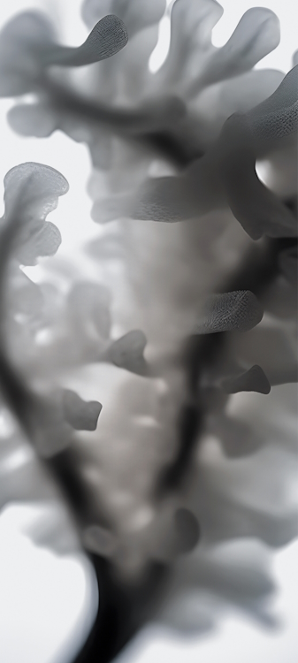 Download Nothing Phone 2a Official Wallpapers Here | Beebom