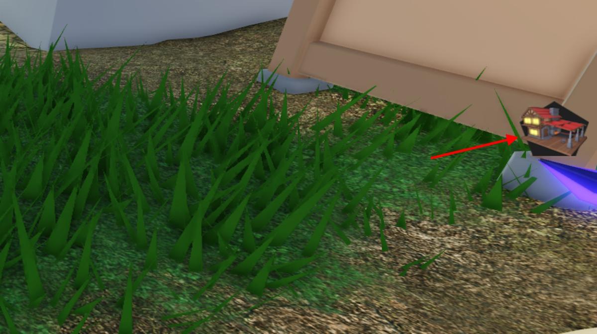 Treasure Quest Codes (March 2025) | Beebom