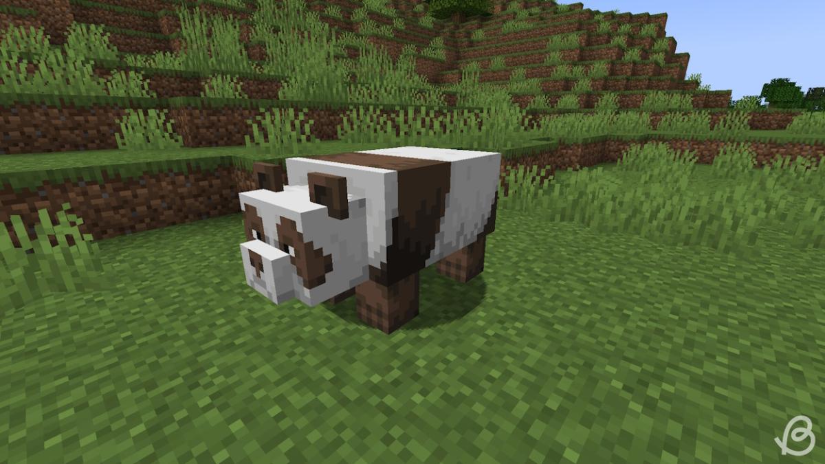 7 Rarest Mobs in Minecraft and How to Get Them | Beebom