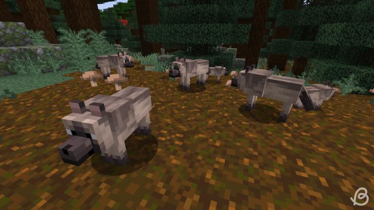 All Wolf (Dog) Variants in Minecraft and Where to Find Them | Beebom