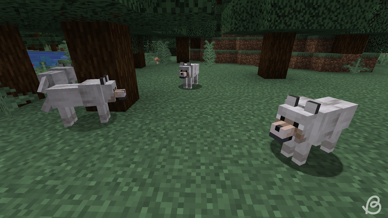All Wolf (Dog) Variants in Minecraft and Where to Find Them | Beebom