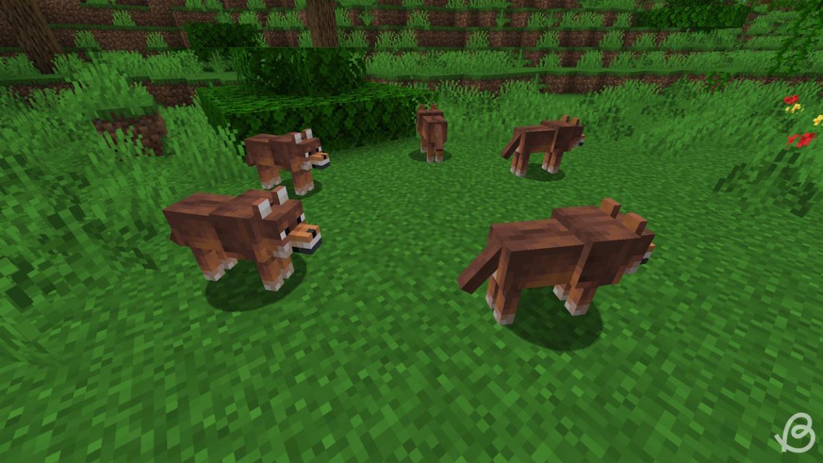 All Wolf (Dog) Variants in Minecraft and Where to Find Them | Beebom