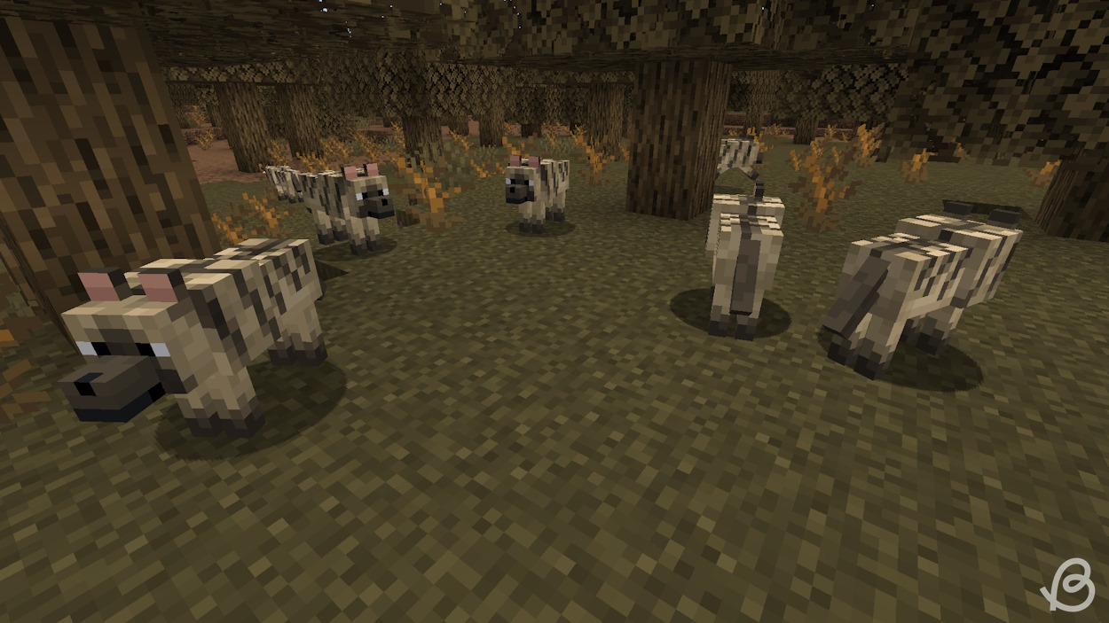 All Wolf (Dog) Variants in Minecraft and Where to Find Them | Beebom All Wolf (Dog) Variants in Minecraft and Where to Find Them | Beebom