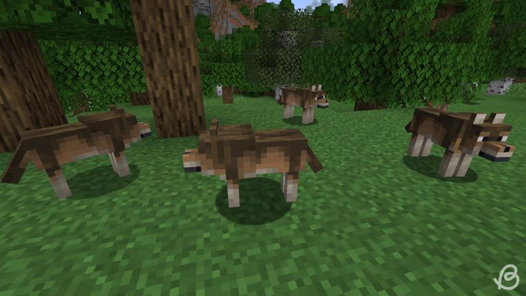 All Wolf (Dog) Variants in Minecraft and Where to Find Them | Beebom
