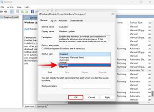 How to Fix Install Error 0x800f081f on Windows 11 | Beebom
