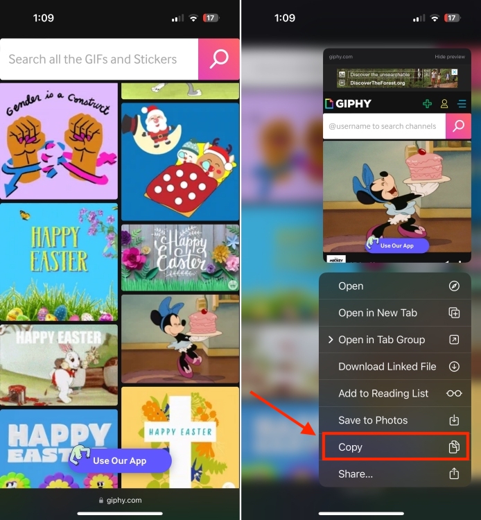 How to Send GIFs in iMessage | Beebom