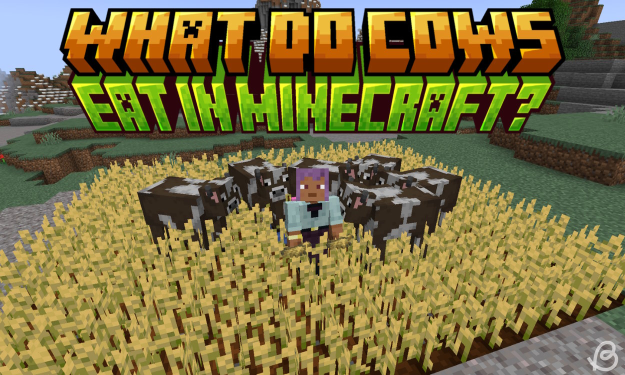 What Do Cows Eat in Minecraft? | Beebom