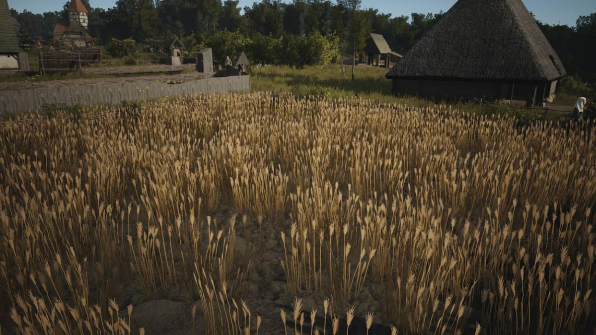 What Is Emmer Fertility in Manor Lords? Explained | Beebom