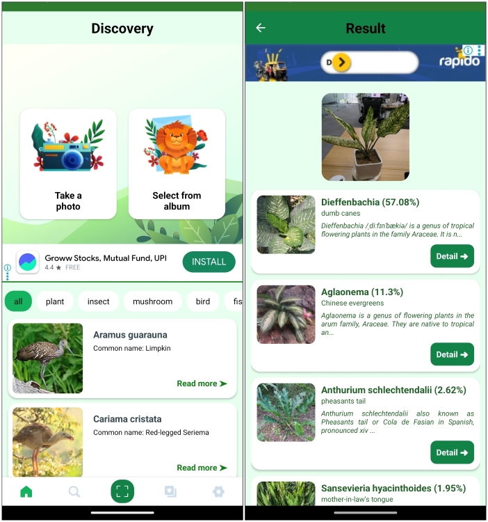 10 Best Plants Identifier Apps in 2025 (Free & Paid) | Beebom