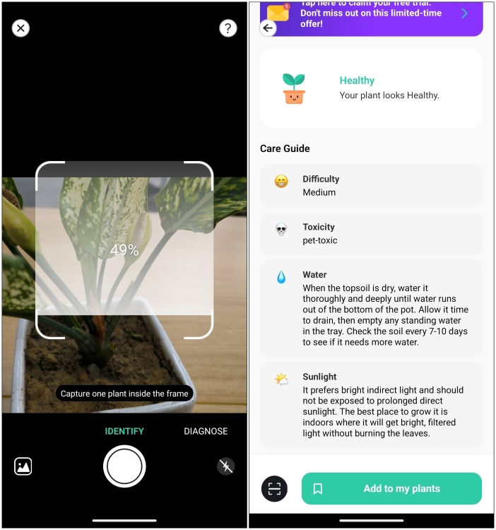 10 Best Plants Identifier Apps in 2025 (Free & Paid) | Beebom