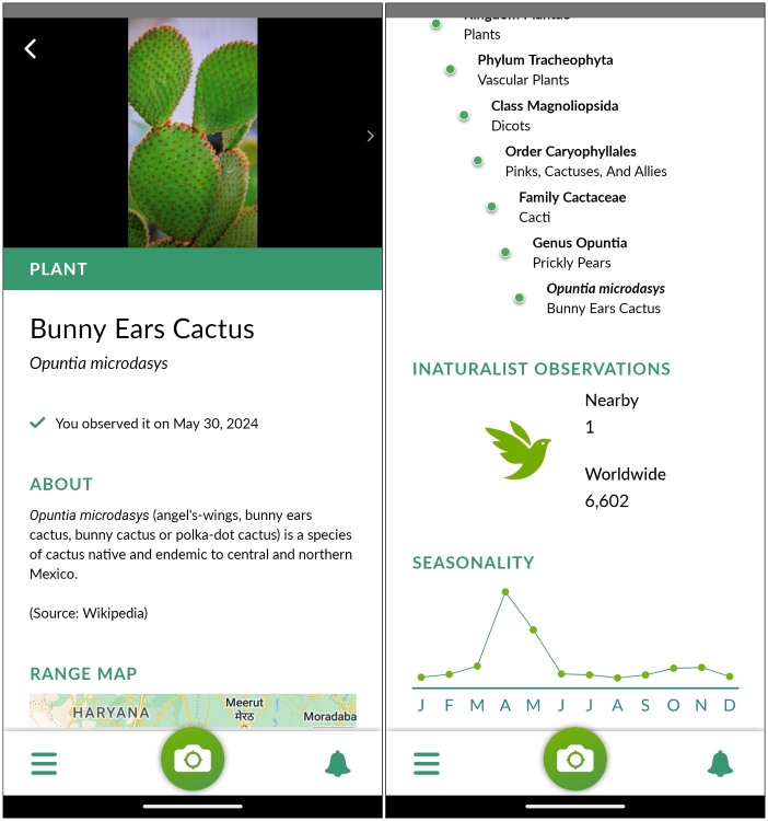 10 Best Plants Identifier Apps in 2025 (Free & Paid) | Beebom