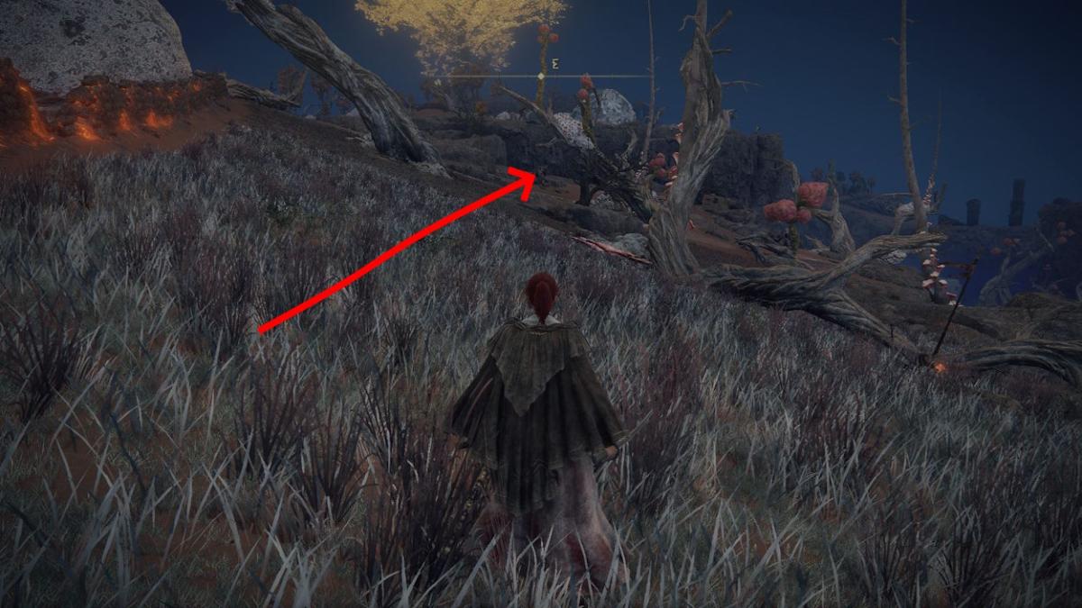 Elden Ring Golden Scarab Location and Walkthrough | Beebom