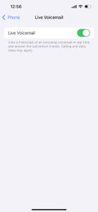 iOS 18 Brings Live Voicemail to iPhones in India; Here's How to Setup ...