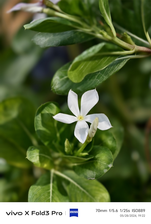 Vivo X Fold 3 Pro First Impressions: New Foldable King? | Beebom