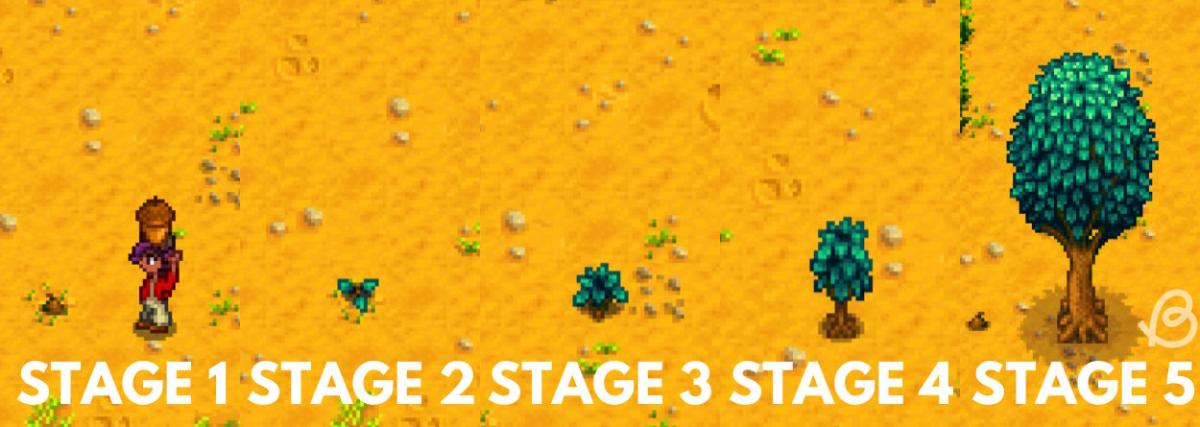 Oak Trees in Stardew Valley: Uses and How to Grow | Beebom