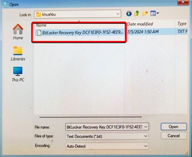 How to Bypass BitLocker Recovery Key on Windows 11 | Beebom