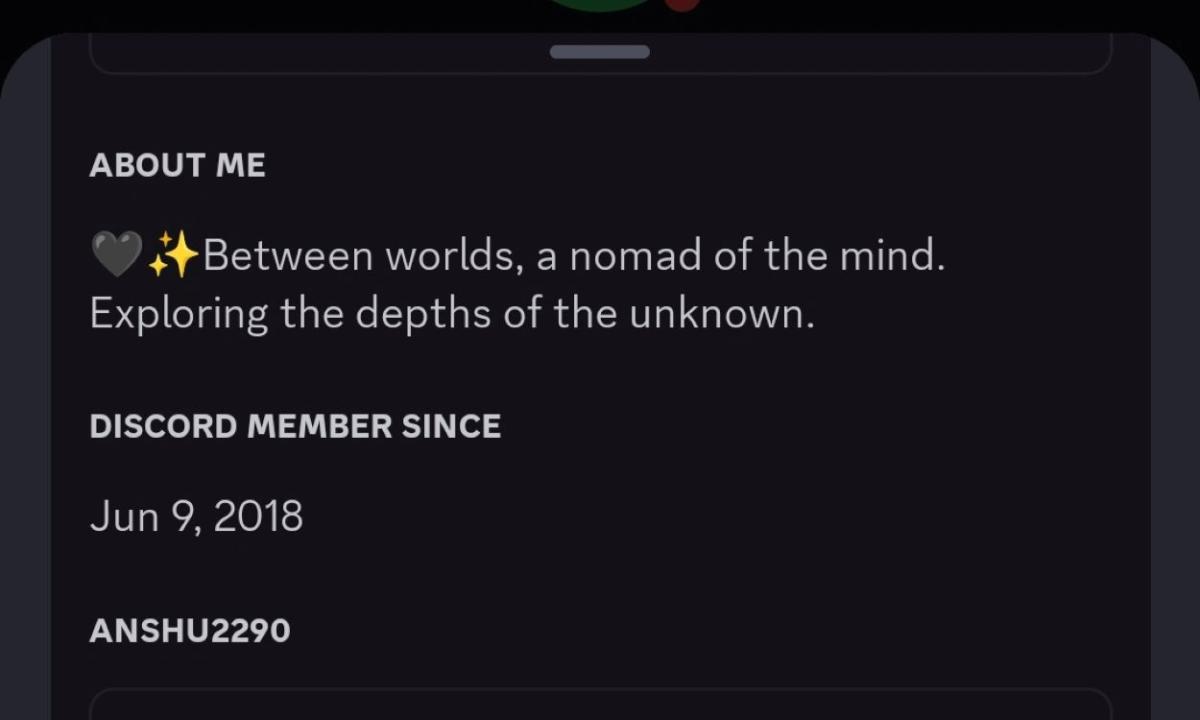 100+ Useful Discord Bio Templates | Beebom
