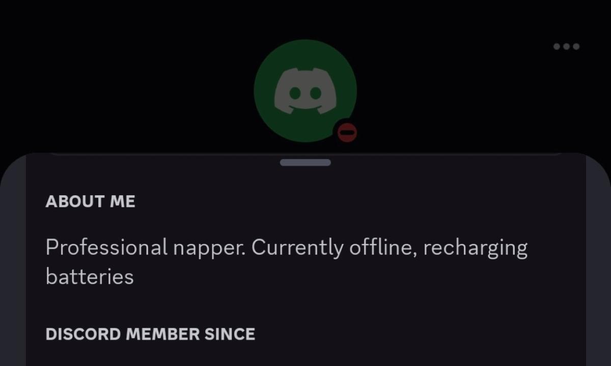 100+ Useful Discord Bio Templates | Beebom