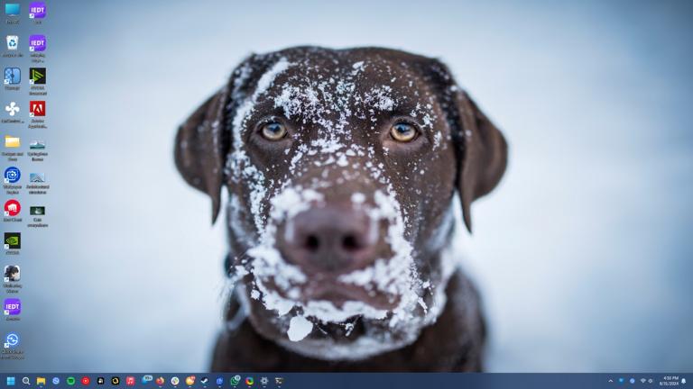 10 Best Windows 11 Themes to Download for Free | Beebom