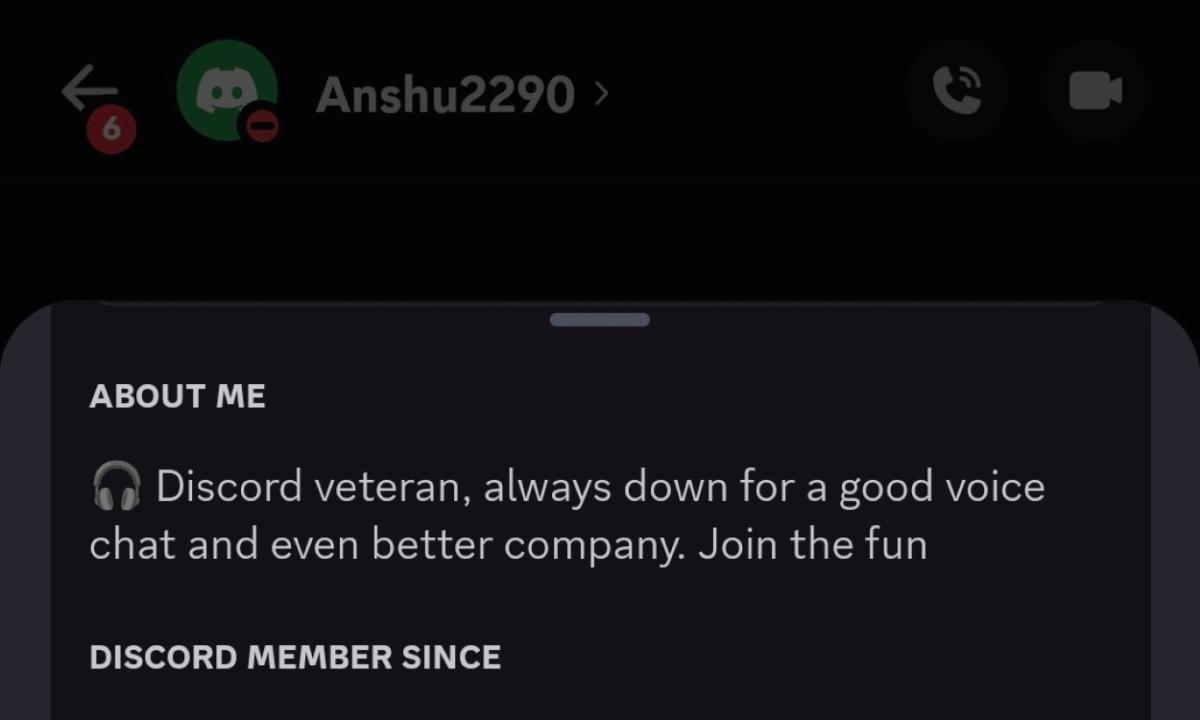 100+ Useful Discord Bio Templates | Beebom