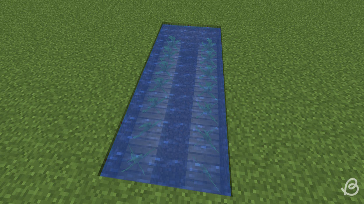 How to Make a Kelp Farm in Minecraft | Beebom