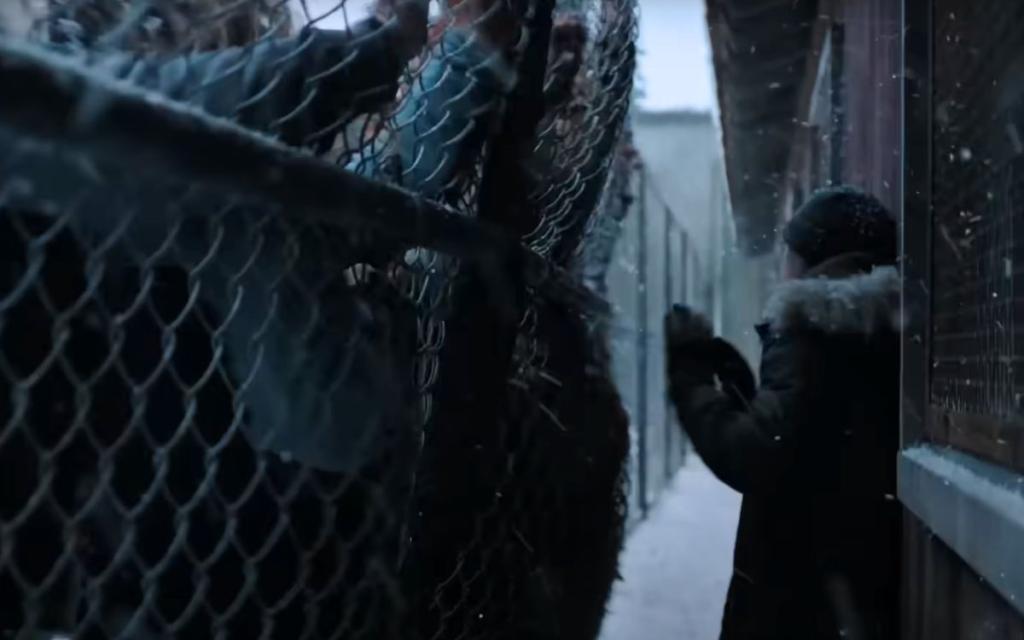 Joel's Death in The Last of Us Season 2: What Does the Trailer Reveal ...