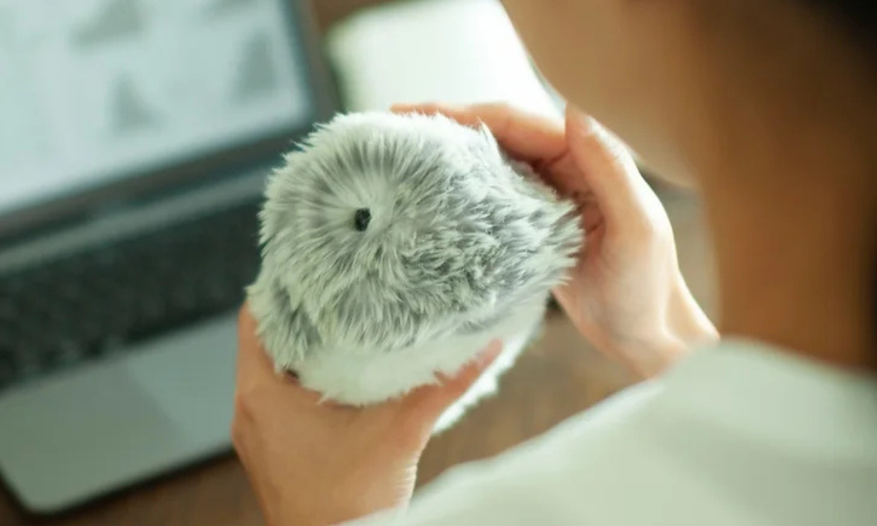 Casio's AI-Powered Robot Pet Wants to Be Your New Best Friend | Beebom