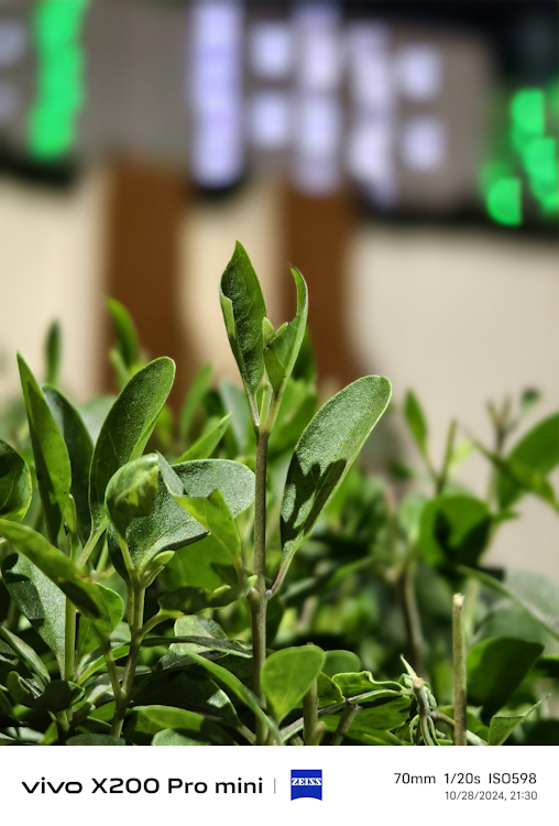 Vivo X200 Pro Mini Impressions: A Compact Flagship Done Right | Beebom