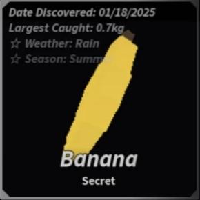 How to Catch the Secret Banana Fish in Fisch | Beebom