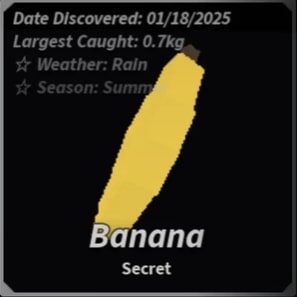 All Secret Fish in Fisch and How to Catch Them | Beebom