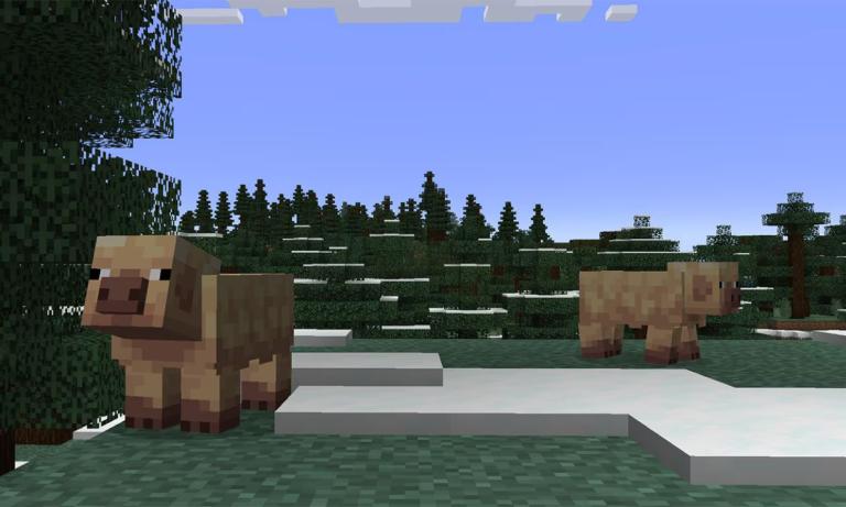 All Minecraft Pig Variants and Where to Find Them | Beebom