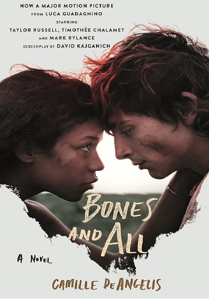 10 Best Timothee Chalamet Movies, Ranked | Beebom