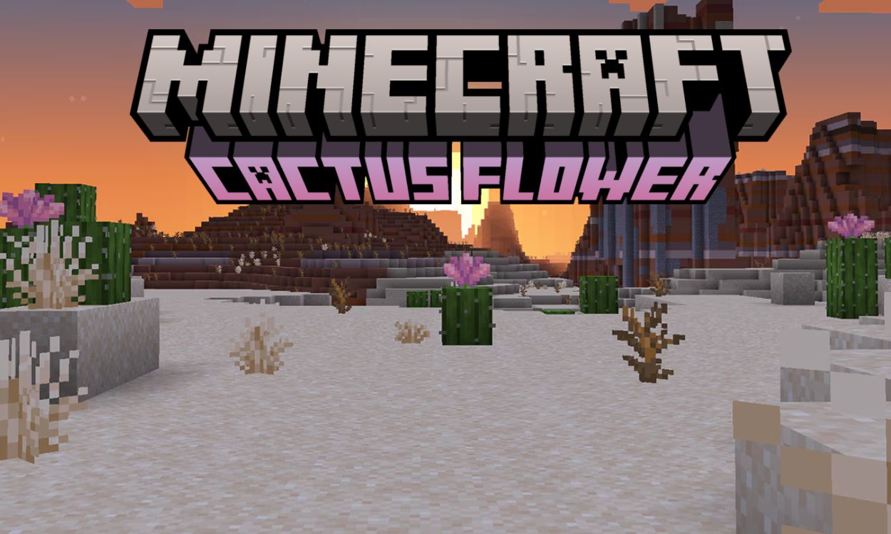 Minecraft Cactus Flower: How to Get, Uses and More | Beebom