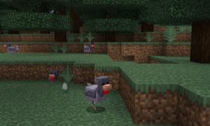 All Minecraft Chicken Variants and Where to Find Them | Beebom