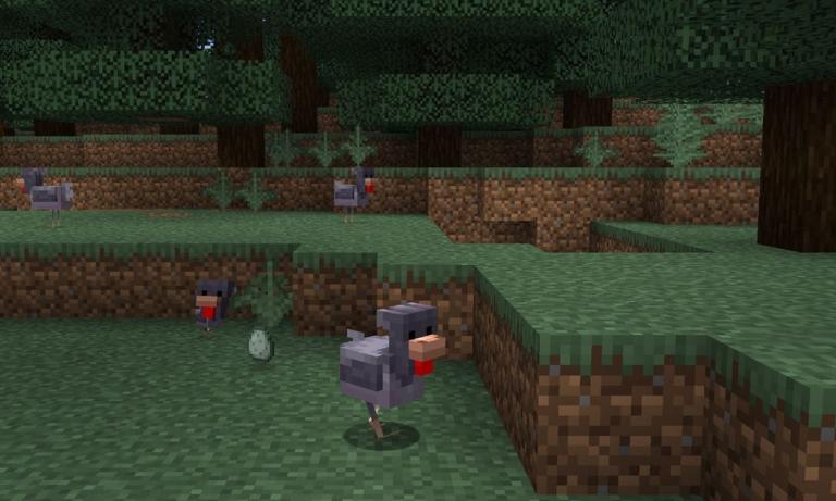 All Minecraft Chicken Variants and Where to Find Them | Beebom